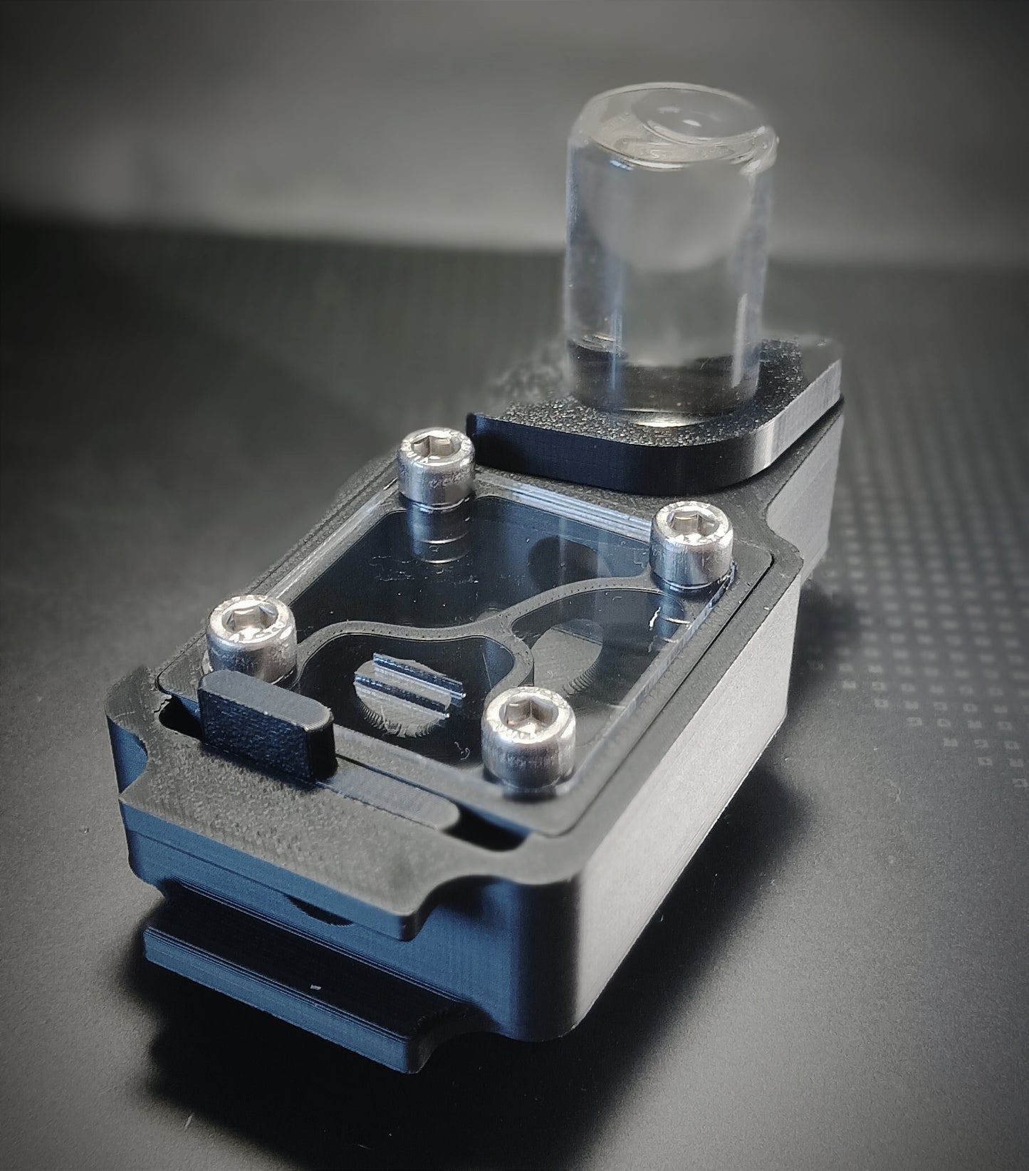 AntMaster Starter- anthill starter – Antmaster